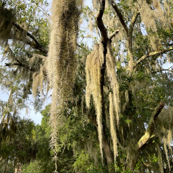 Pottery Barn | Other | Bohemianbundle Decor Set Of 5 Real River Stone ...